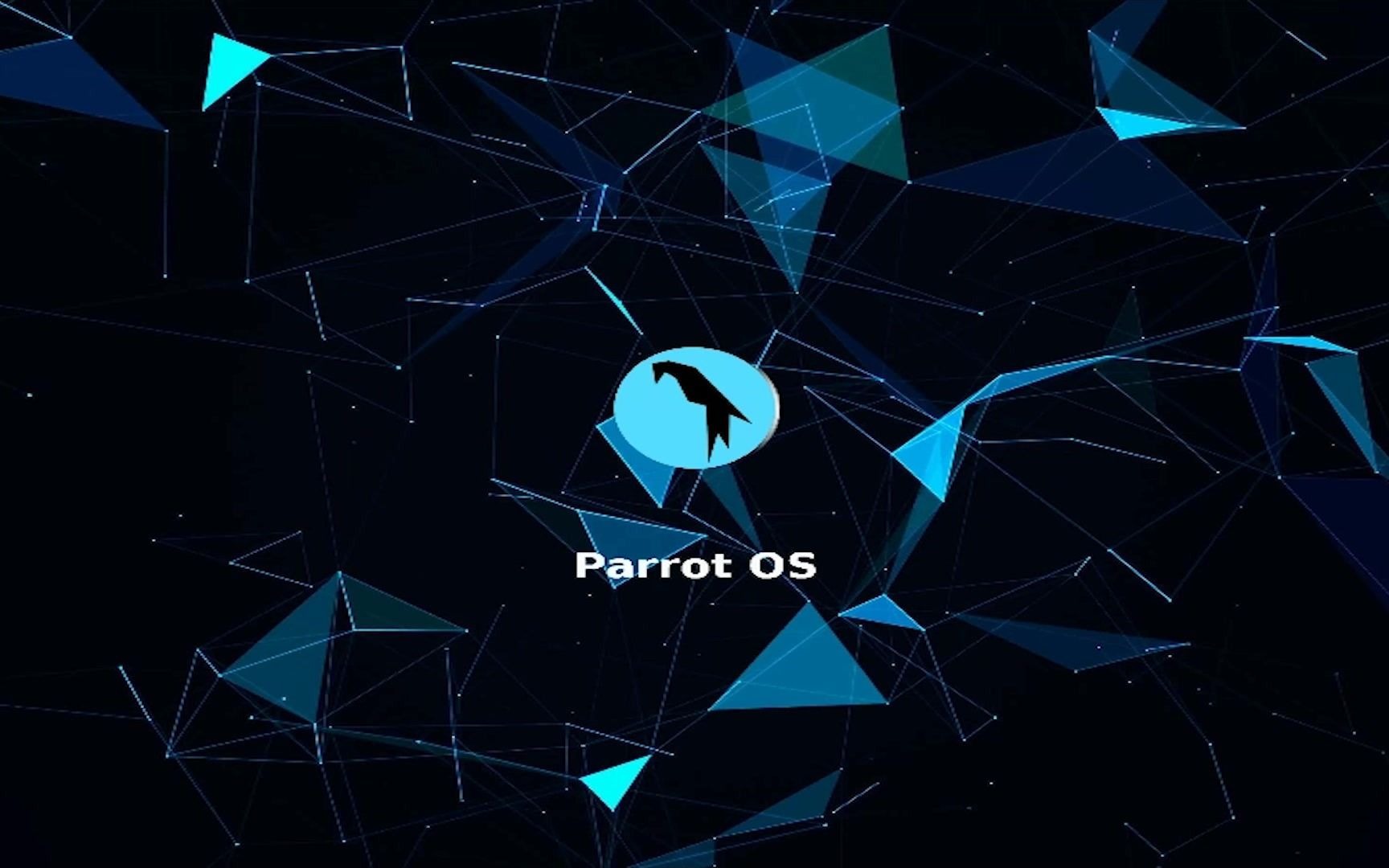 Parrot Security OS(鹦鹉安全系统)安装体验