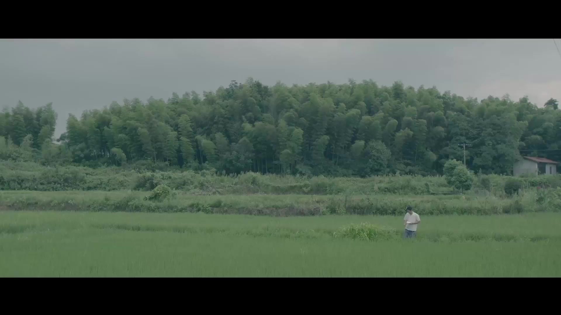 企业宣传片-永远的守护-微电影