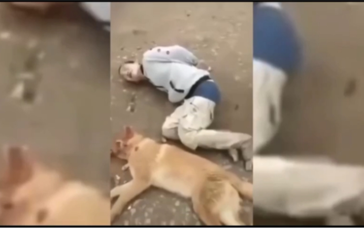 偷狗贼太可恶了。抓到打个半死