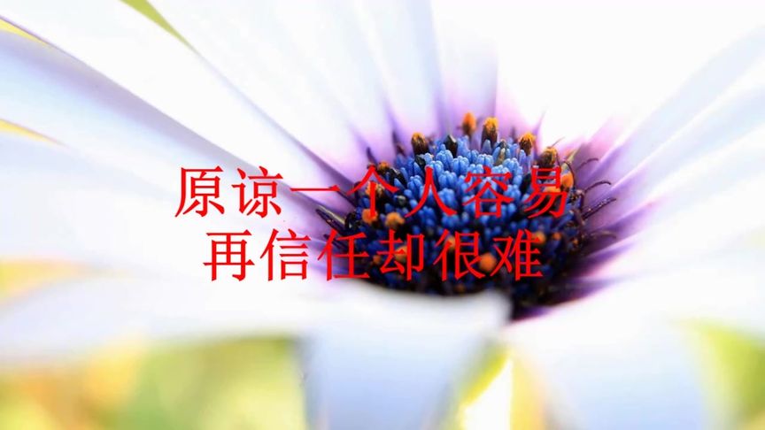 经典语录:原谅一个人容易,再信任却很难
