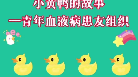 小黄鸭的故事—青年血液病患友组织