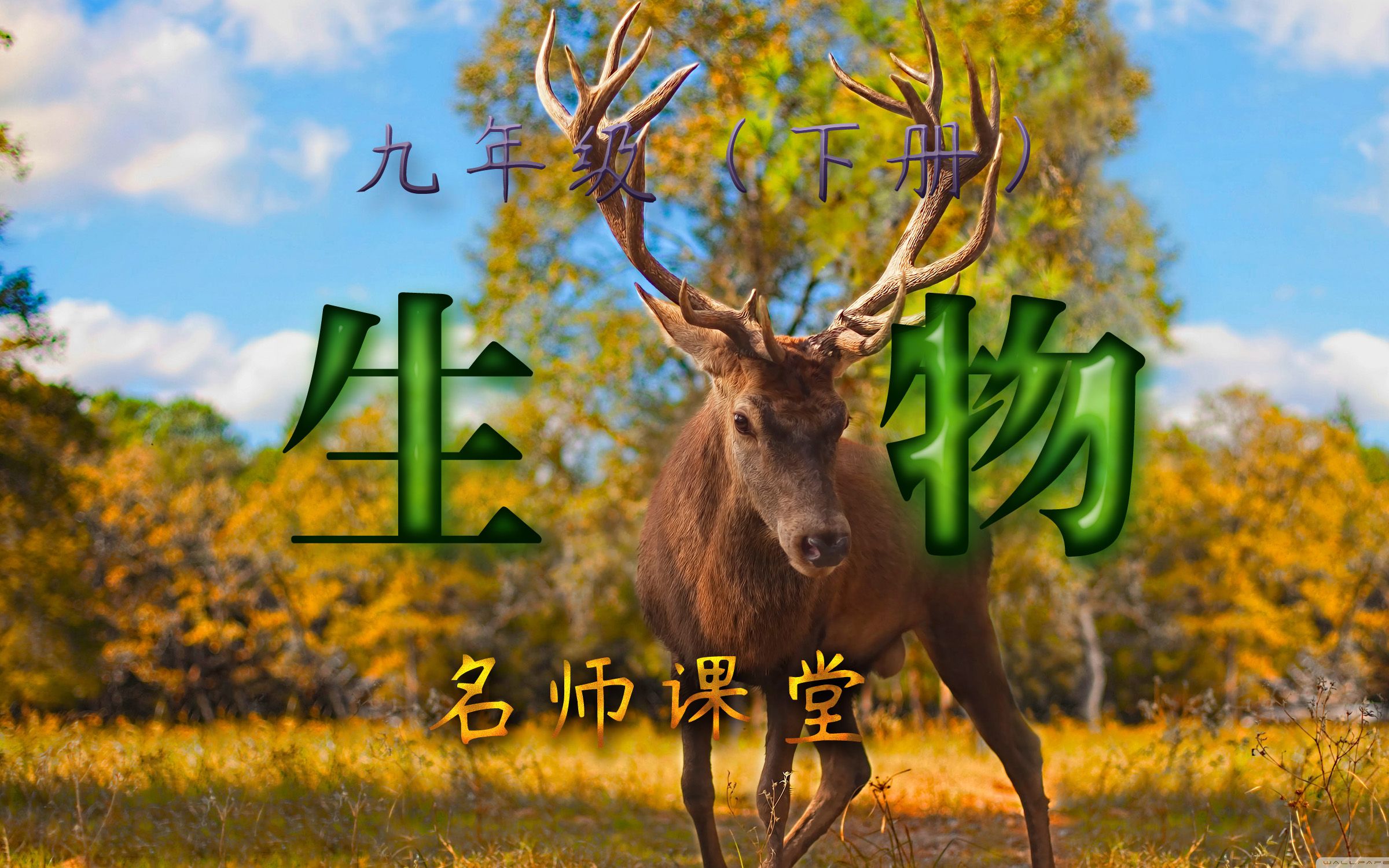 九年级生物(下册)RJ版 8.1 传染病和免疫