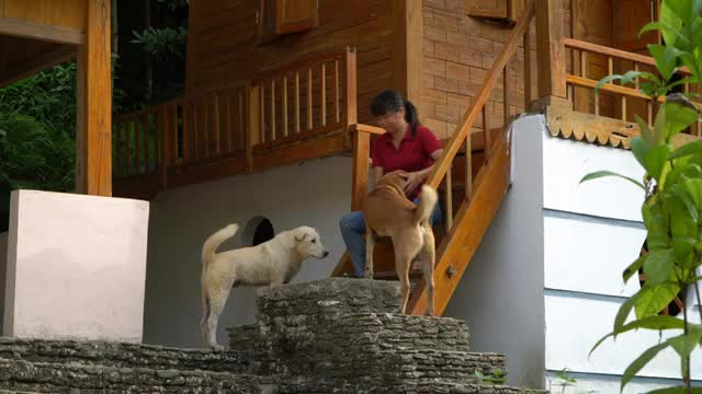 ...#农村生活日常记录 #乡村生活 #建造田园生活 #能干又顾家的农村...