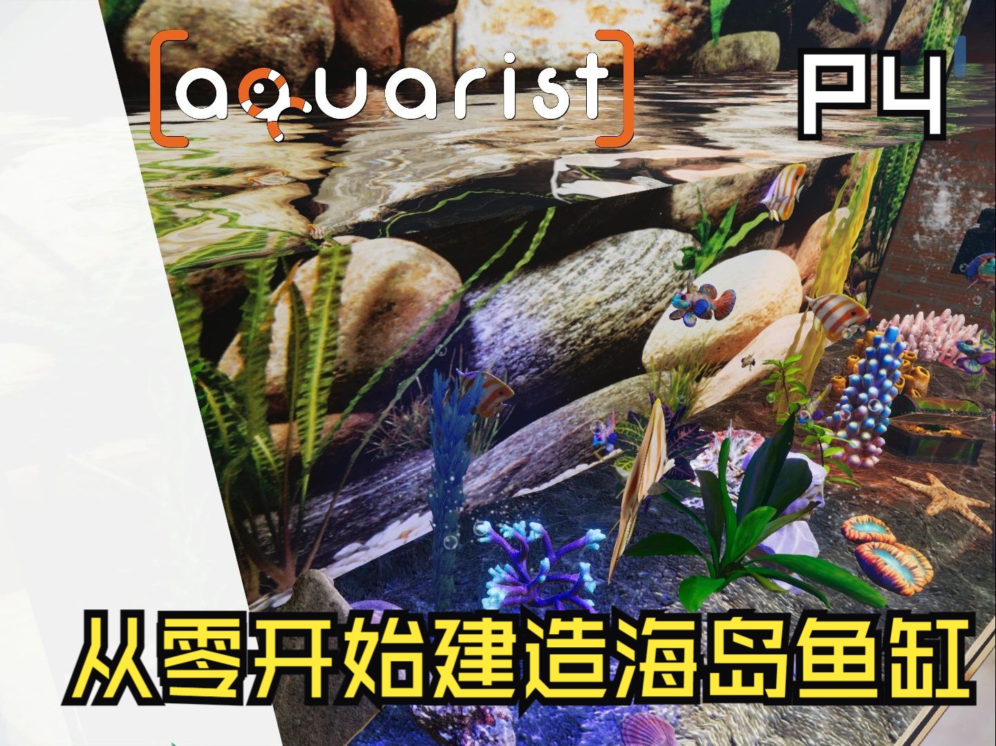 【Aquarist水族馆模拟器】P4:从零开始建造海岛鱼缸