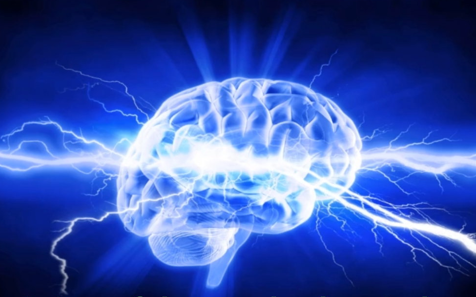 完整的神经信号处理和分析-从零到专家 (Using Matlab Toos)