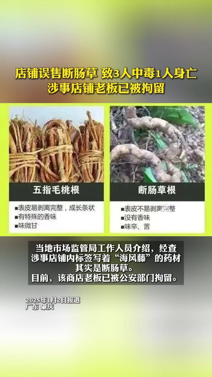 店铺误售断肠草致3人中毒1人身亡涉事店铺老板已被拘留