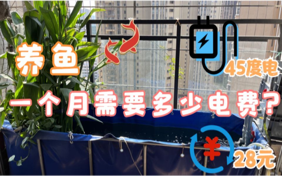 养鱼一个月需要多少电费?63W功率24小时运转,1个月需要45度电,缴纳...