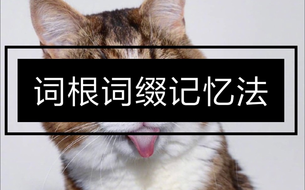 词根词缀记忆法——前缀篇