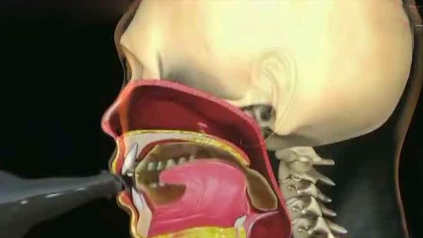 一个动画让你明白,酒精是如何在人体内代谢的,看完后你还喝吗?