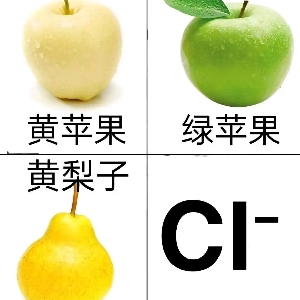 浴火重生-希望降临 