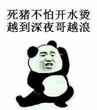 sox教主大人 