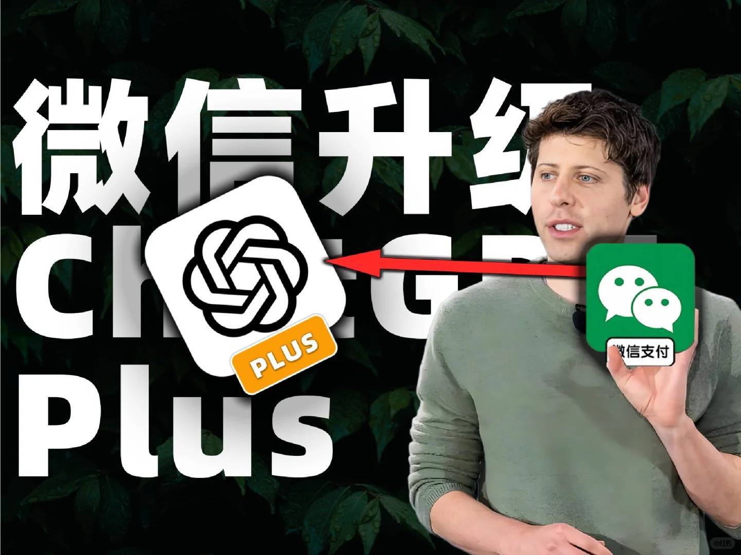 微信直接升级GPT-Plus,无需折腾外币卡,无需泄露账号密码,Plus/Pro...