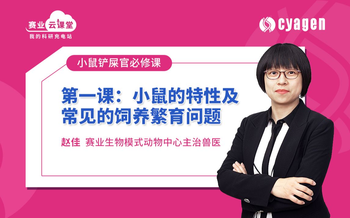小鼠铲屎官第一课:小鼠的特性及常见的饲养繁育问题
