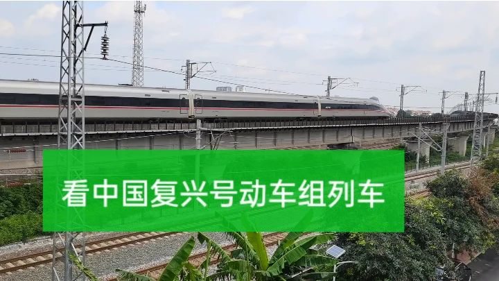 广西柳州,从南宁东开来的复兴号列车通过市区,看那趟车比较好看