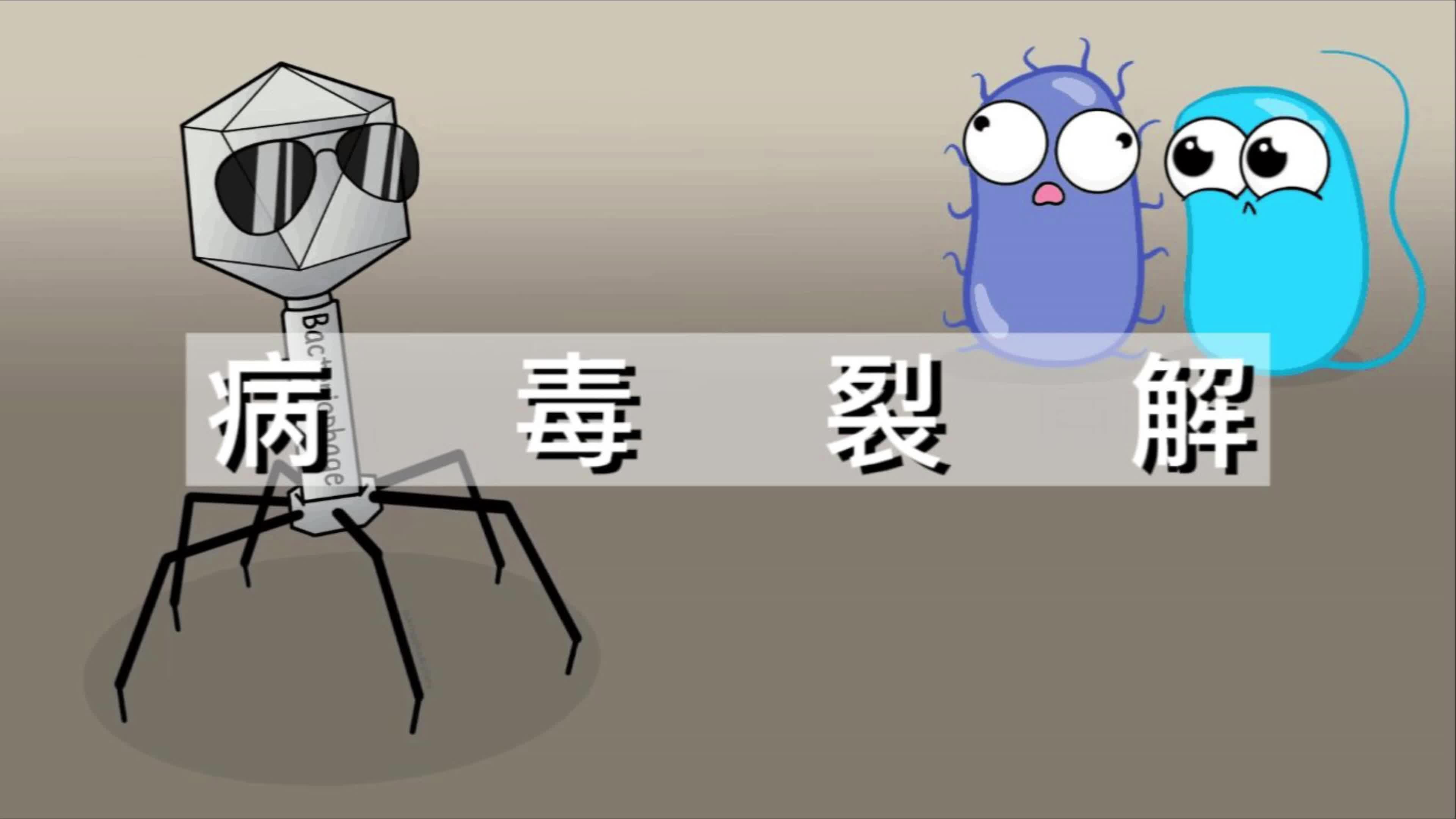 一个视频了解病毒裂解