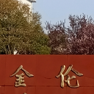 驻足即是美味咸鱼924服 