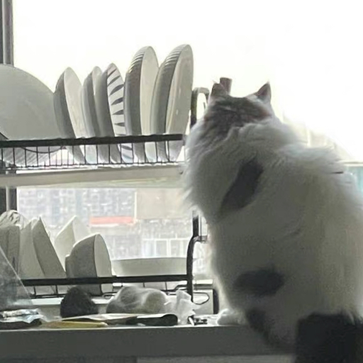 生姜煮鹤- 