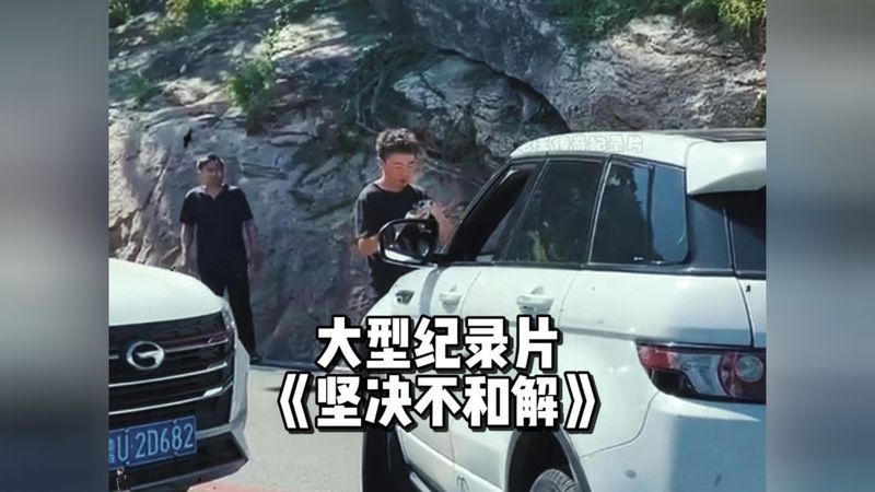 被打司机表示坚决不和解!将依法进行行政复议,只为讨回公道!大型纪录...