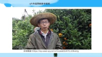 六年级小学综合实践活动主题“我是小小理财师”之活动一