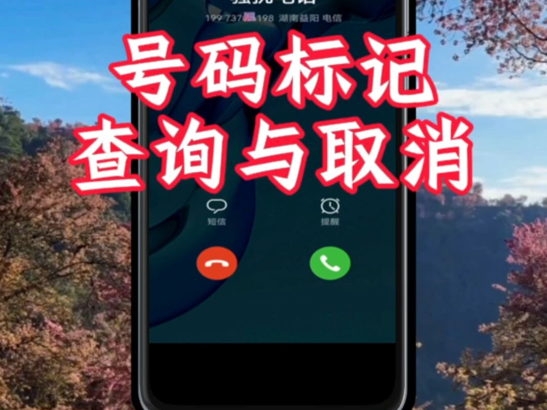 个人电话号码被标记:怎样免费查询与申诉取消?