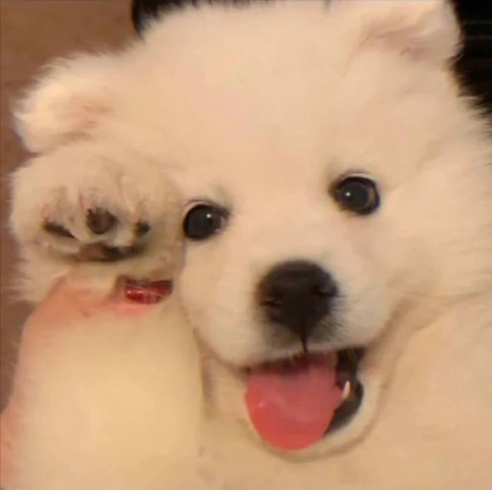 优兔悲 