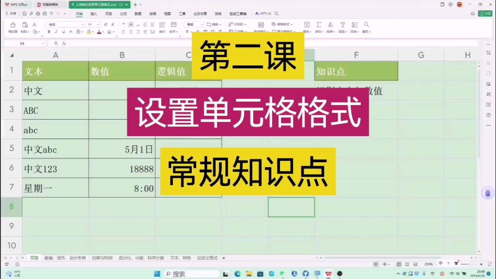 WPS Excel表格零基础入门到精通第二课 设置单元格格式-1常规