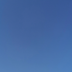 努力成为锚节点 