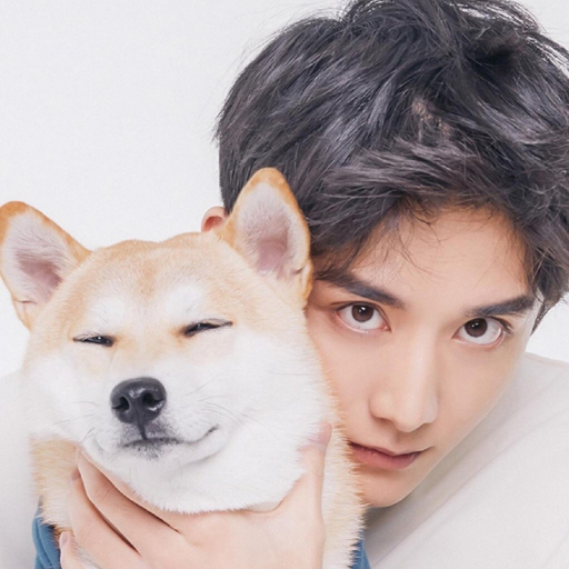 小程upupup 