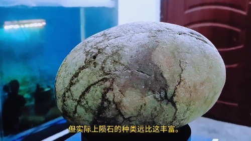 994. 陨石种类多样,不仅限于石陨石、铁陨石种石铁混合陨石