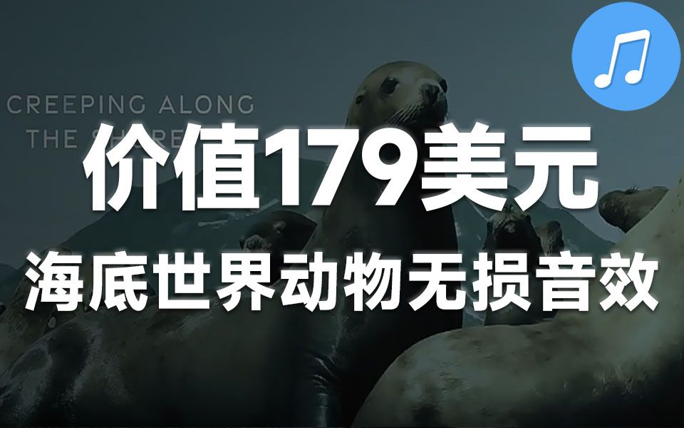 海底世界动物音效合集!含海豹、海狮、海豹、海豚海底之声动物无损...