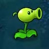 PVZ1437曲奇 