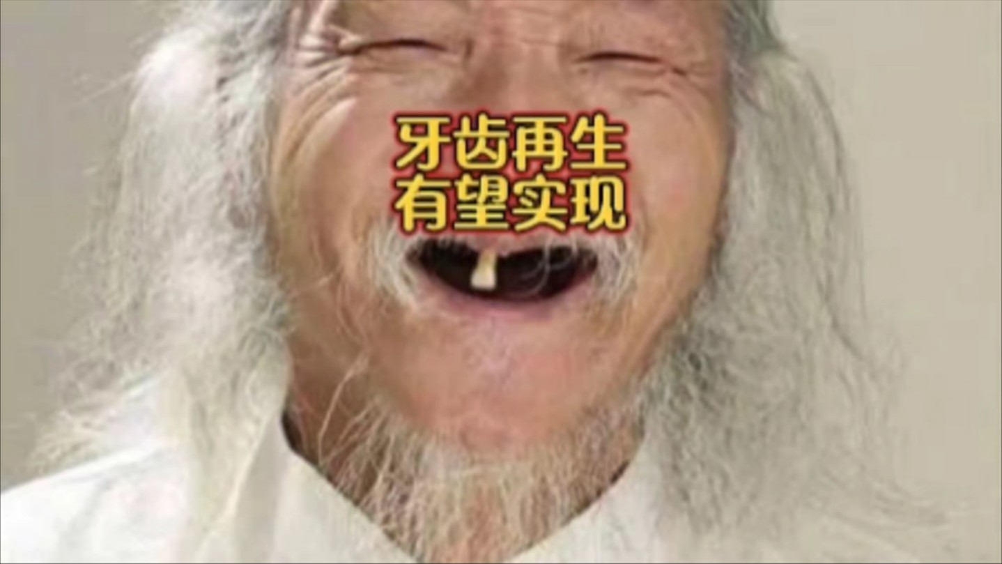 牙齿再生有望实现