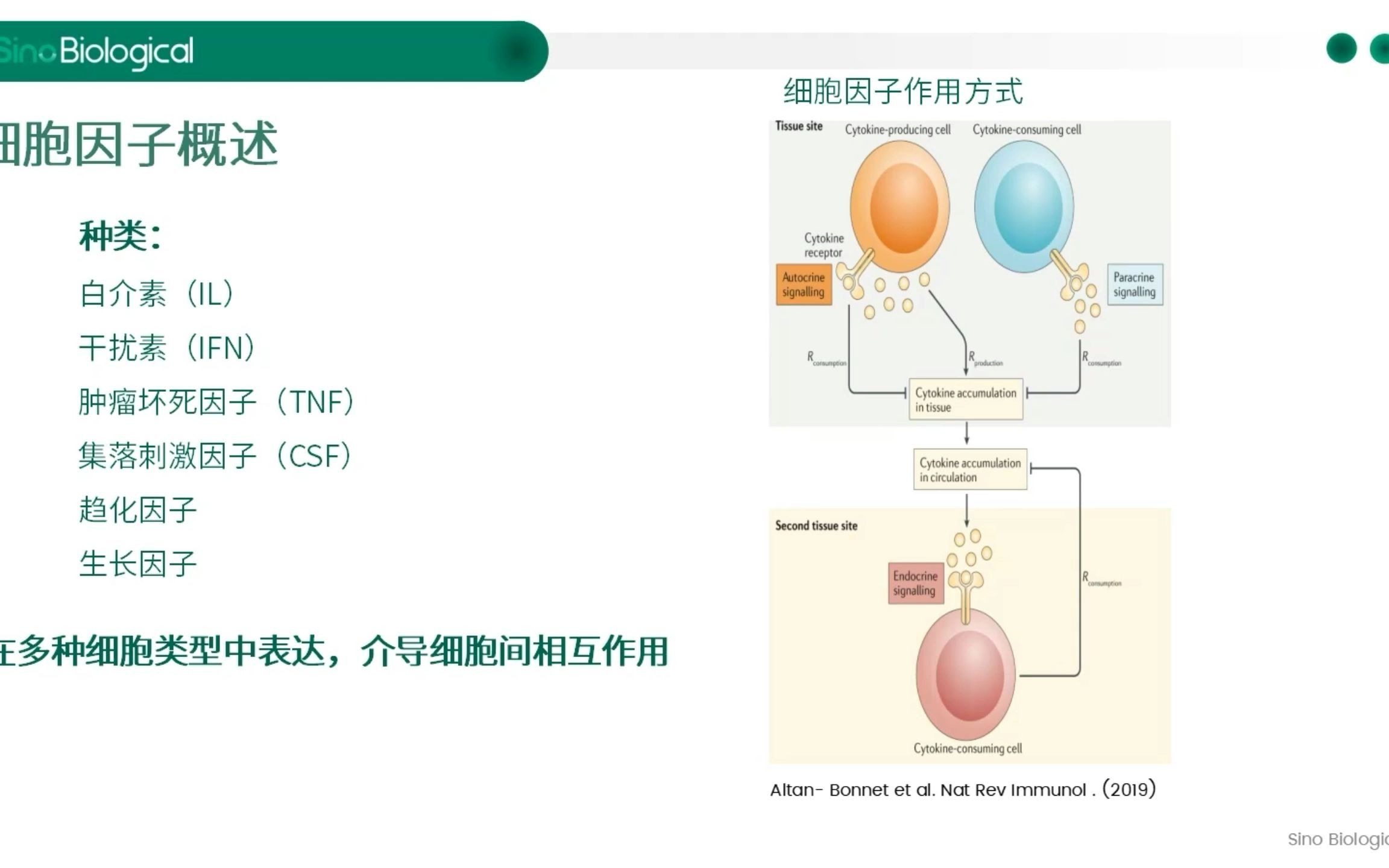 【讲座】重组细胞因子在免疫治疗领域的应用及开发案例分析