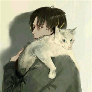 关于我只想摆 