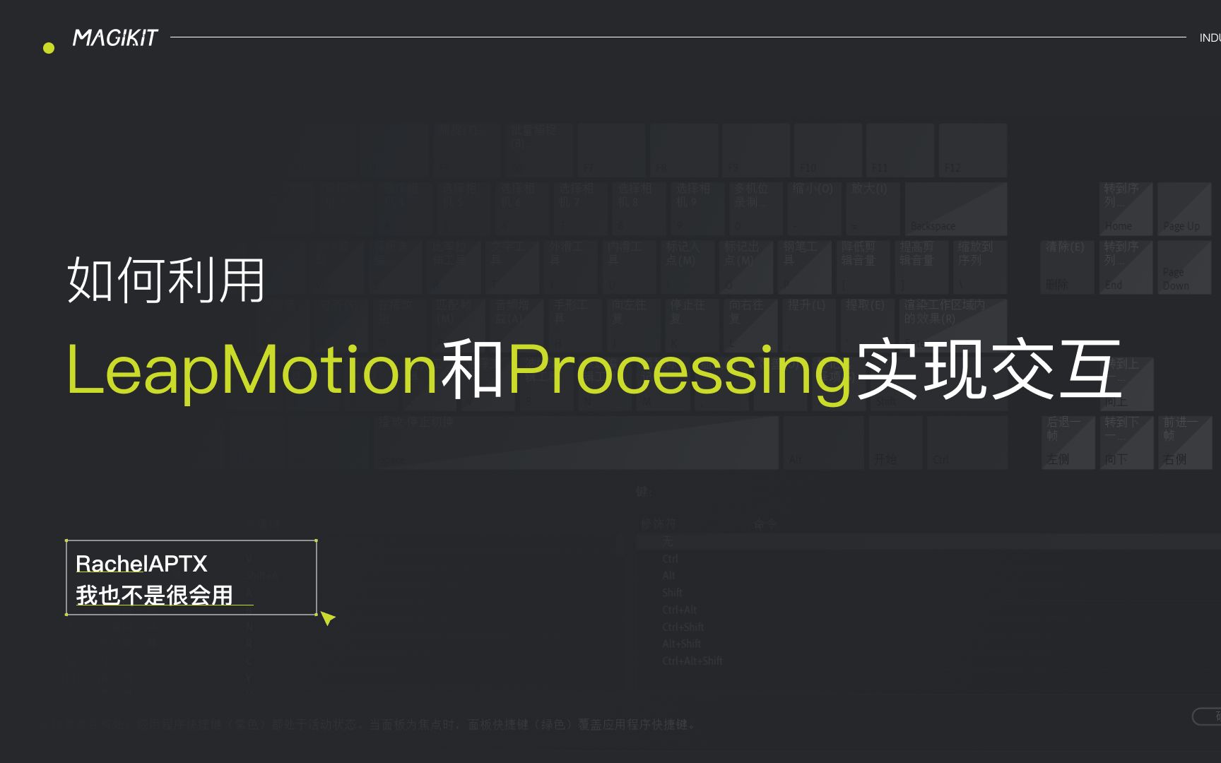 如何利用LeapMotion(Ultraleap)和Processing实现交互之野鸭教程