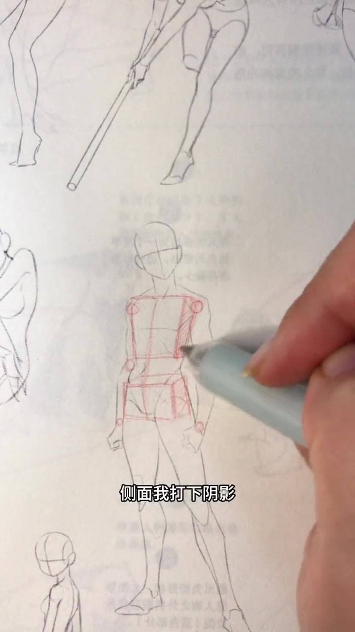 一起学画画 人体结构几何练习