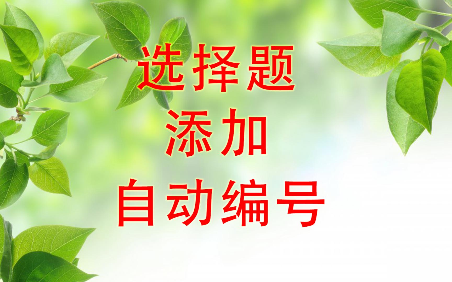 选择题添加自动编号全程实例