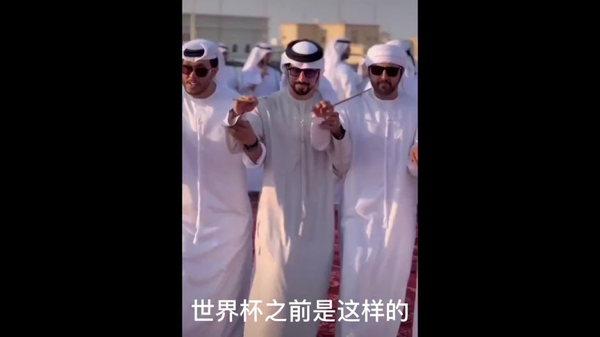 卡塔尔土豪心情就是在坐过山车 #上抖音看2022世界杯 #足球
