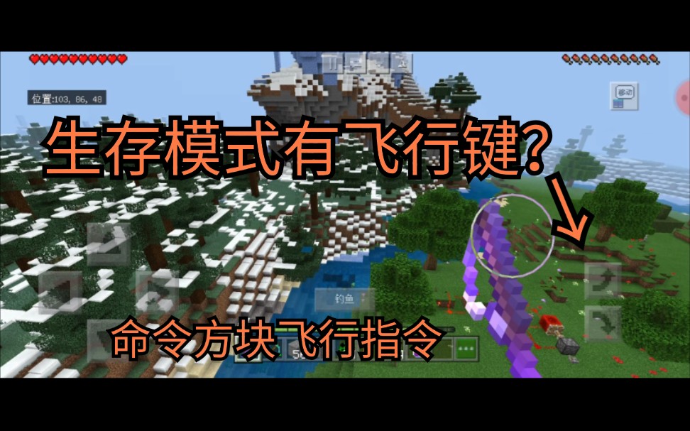 我的世界指令:网易版生存飞行?