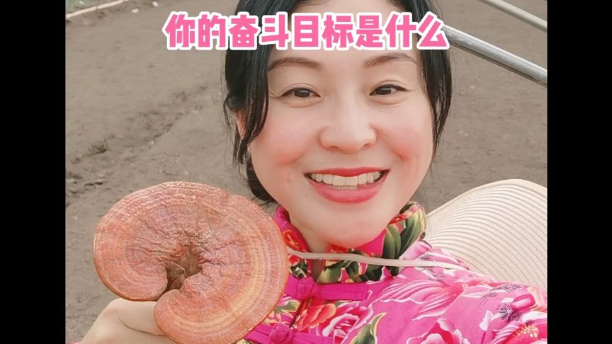 你的奋斗目标是什么