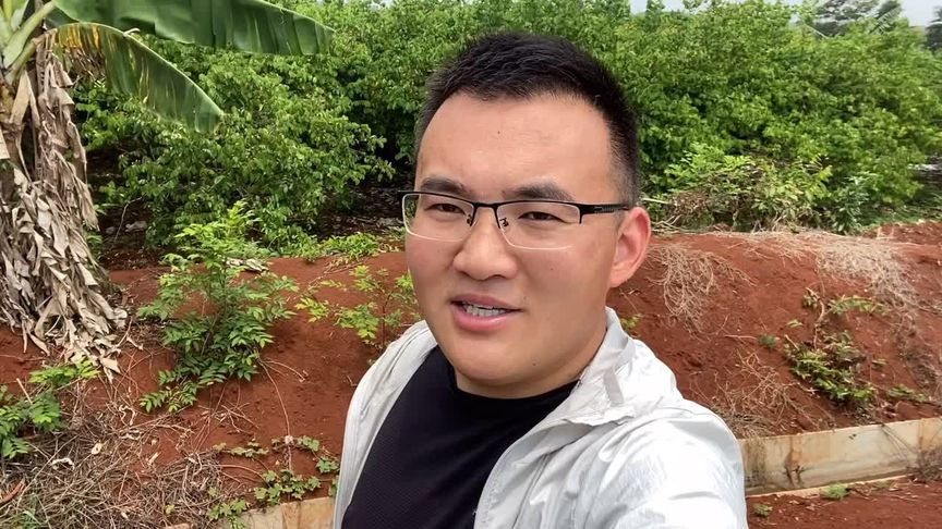小时候有没有学过一篇课文:画杨桃。我带大家去看看杨桃的生长