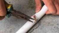 PPR管漏水了，但是没有拿配件怎么办？别急老师傅教你一招搞定！
