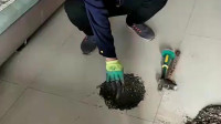 地暖漏水,维修师傅精准定位20公分漏水点,这也太厉害了真是高手在民间!