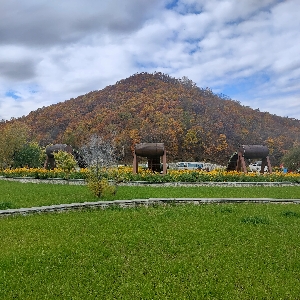新新注消专栏 