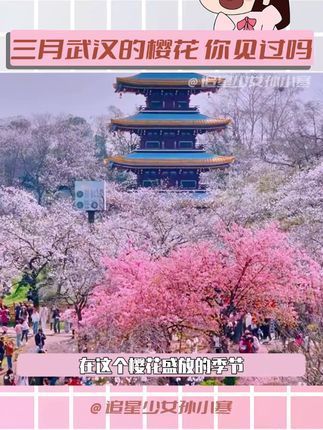 三月,让我们一起出发去武汉赏樱花吧#樱花 #想约你去淋一场樱花雨 #武汉