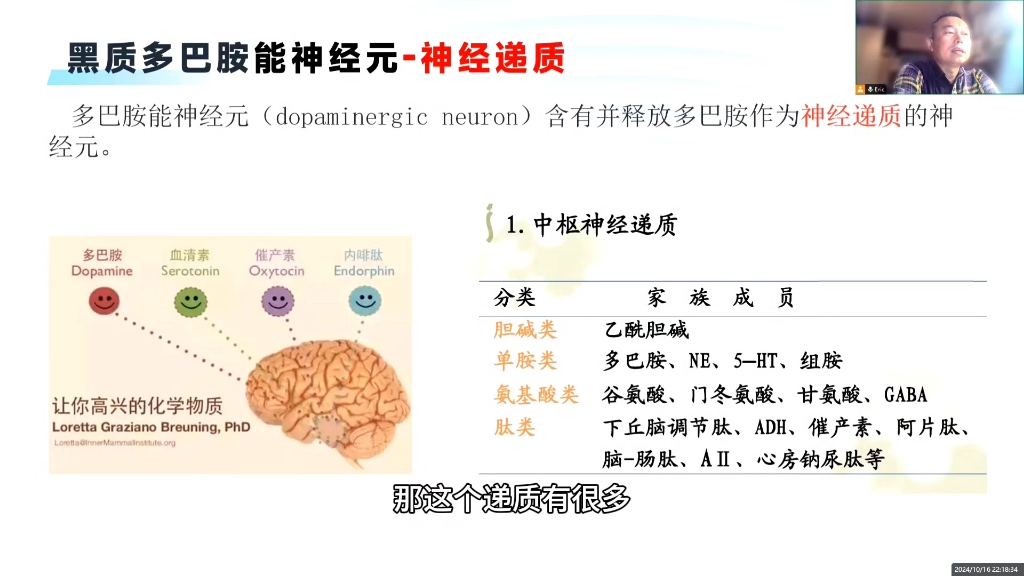 帕友汇-神经递质