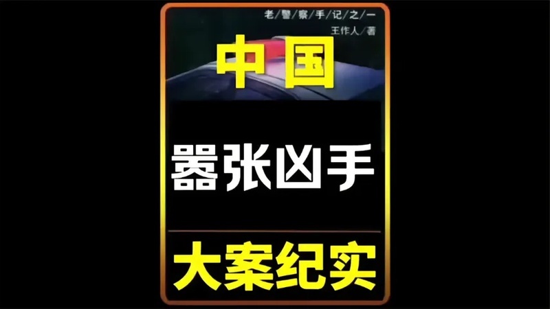 478.嚣张凶手,真实故事大案记实案件真实故事记录