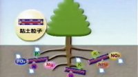 生态修复 矿山生态修复-欣安生态