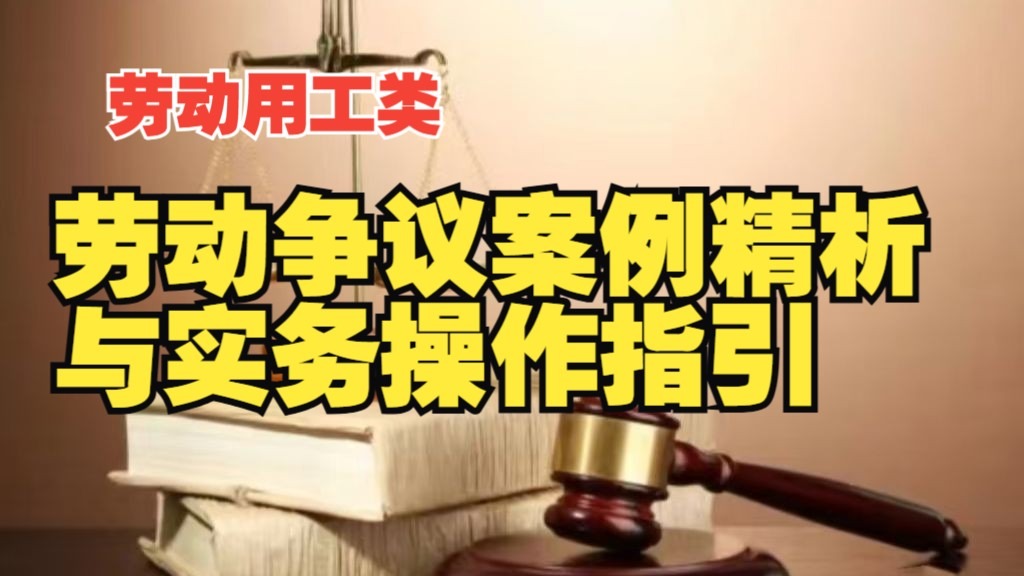 劳动争议案例精析与实务操作指引【全20讲】#劳动用工