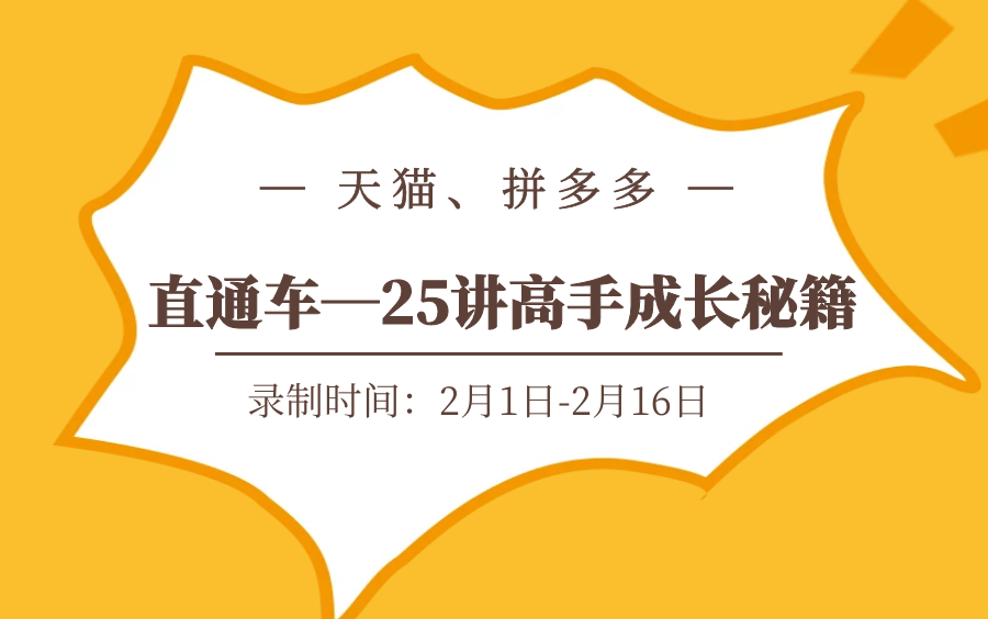 直通车—25讲高手成长秘籍(天猫,拼多多,京东运营推广)